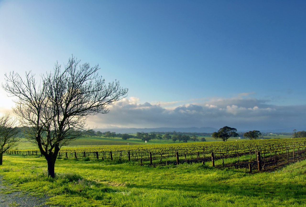Eden Valley - Home